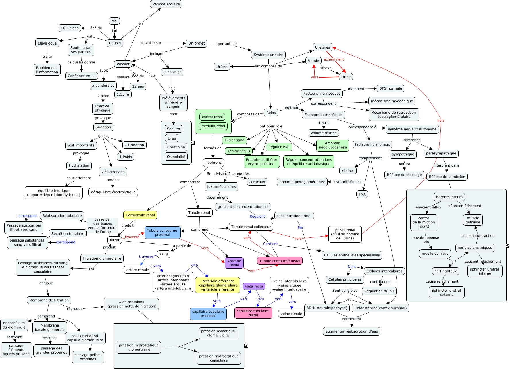 SIC 5- système urinaire_version modifiée 2